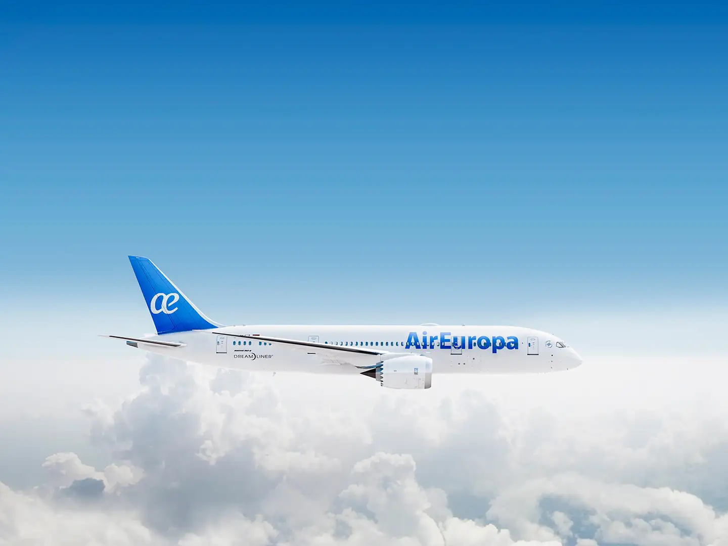 Airline partners | ITA